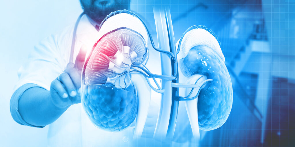 Néphrologie - Clinique Médical BCL